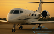 Private Jet Sales and Acquisitions Market Overview | Aviation Industry ...